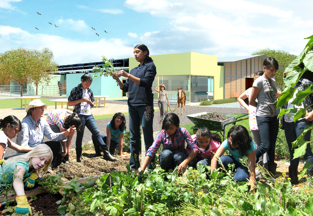 "Taking the Reins" Barn and Urban Farm, Los Angeles, California – TOLO ...
